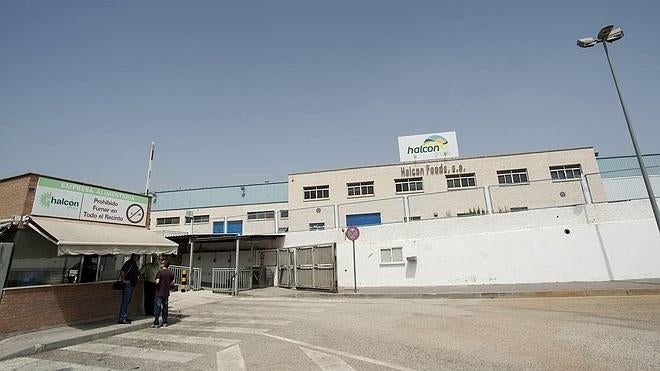 Finalizan las tareas de limpieza de la nave de Halcón Foods en Campos ...